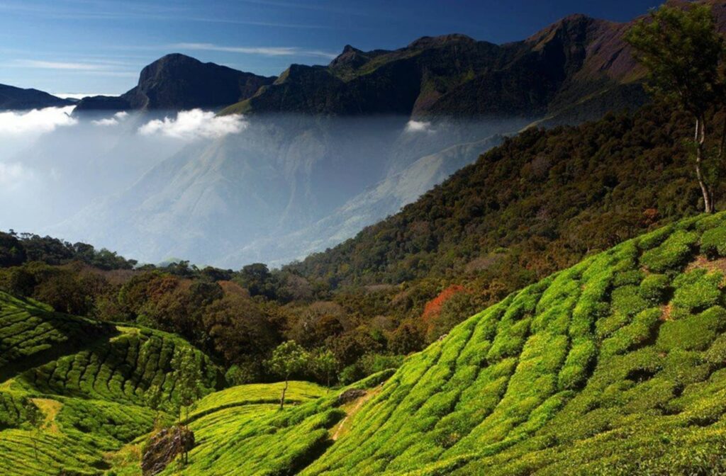 Discover Trip to the Western Ghats: In the mountains of UNESCO Heritage ...