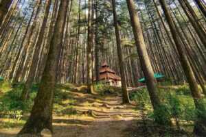 Discover Devalsari Temple from Dehradun In Tehri, Uttarakhand